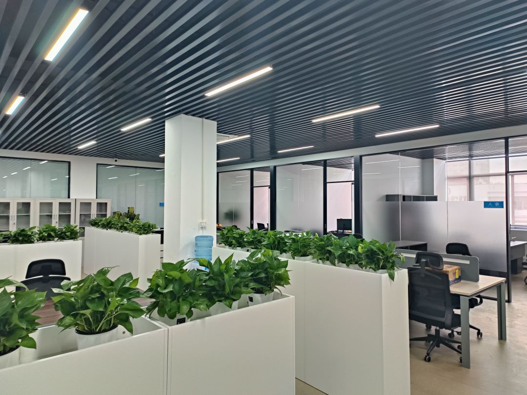 Company Profile_Oculgen